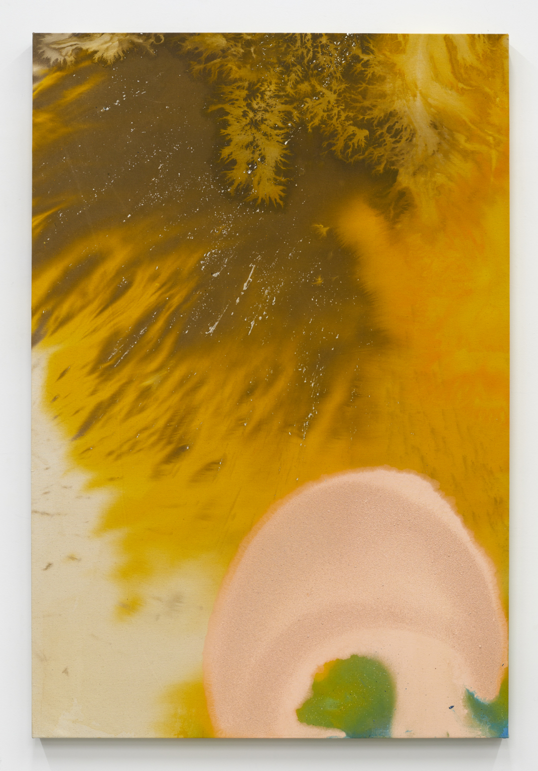 Peter Bradley — KARMA