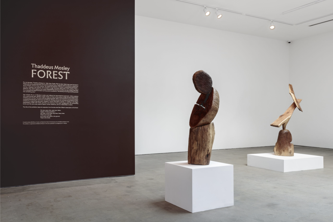 Thaddeus Mosley at Art + Practice Los Angeles — KARMA